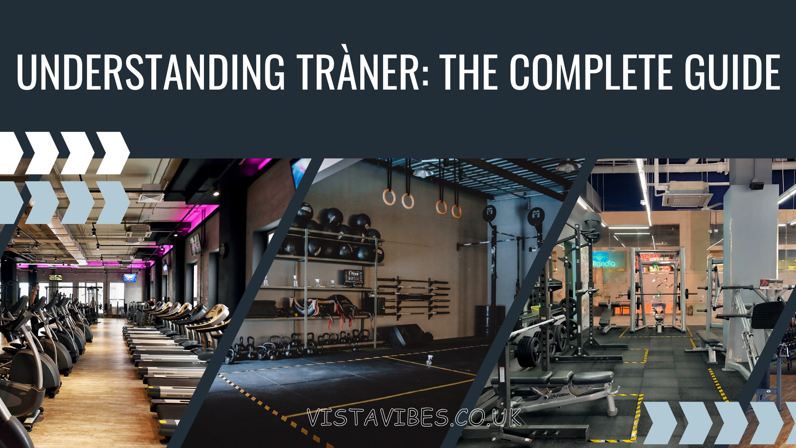 Understanding Tràner: The Complete Guide - Vista Vibes